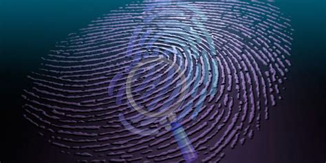 Biometric Identification Enhancing Security Through Unique Attributes