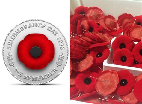 Rainbowpoppy Might Be Trending But Does An Lgbt Poppy Really Exist