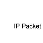 An Annotated IP Packet With Updated IP Length And Checksum Fields Download Scientific Diagram