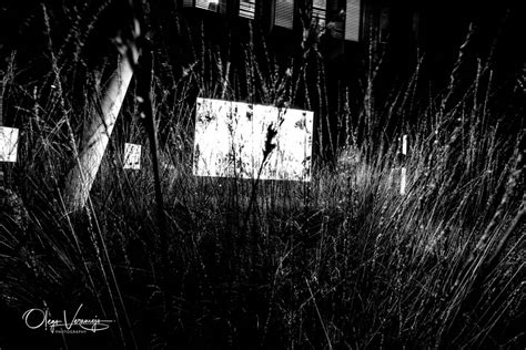 Grass Screen Night By Olegsveramejs On Deviantart
