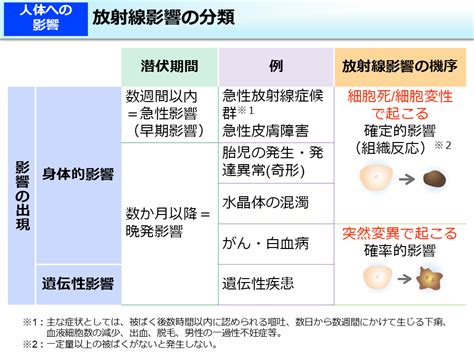 環境省 放射線影響の分類