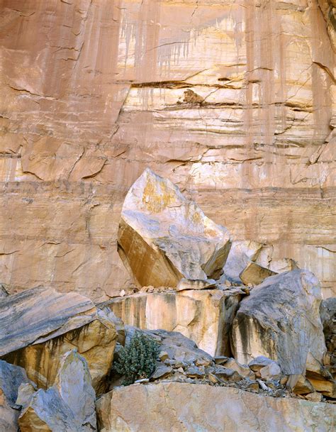 Capitol Reef Angular Boulder 1 On Landscape