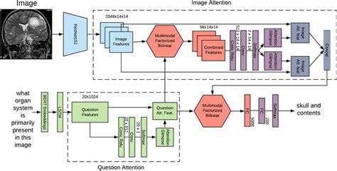 Our End To End Framework For Medical Visual Question Answering For Download Scientific Diagram