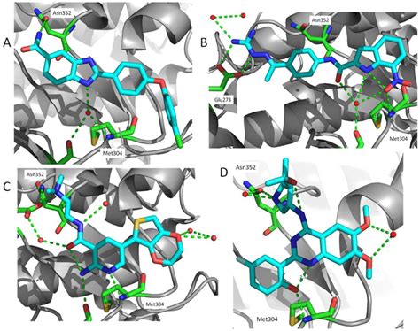 Crystal Structures Of Inhibitors In Complex With Chk2 Showing The