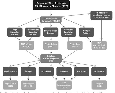 Meaning Of Elevated Tsh Understanding Elevated Tsh Ranges Symptoms