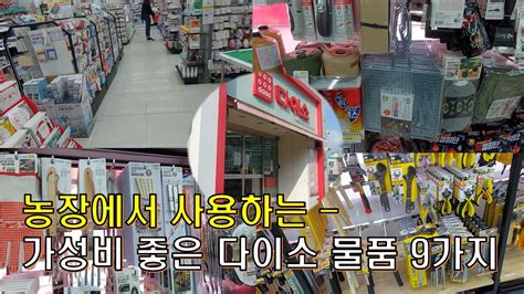 농장에서 사용하는 가성비 좋은 다이소 물품 9가지 Youtube