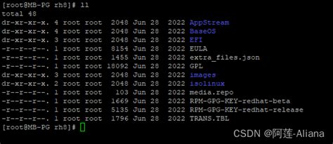 redhat linux 8版本 本地yum源配置 linux redhat8 0之yum csdn博客