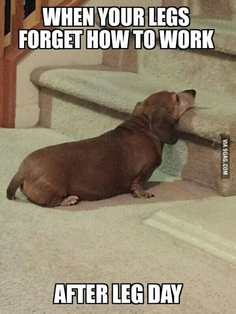 Me After Leg Day Meme