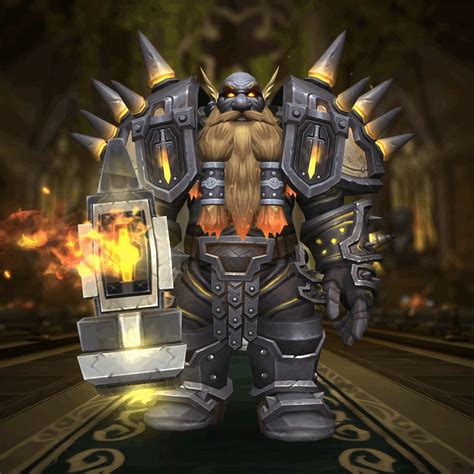 Dwarf Paladin Transmog