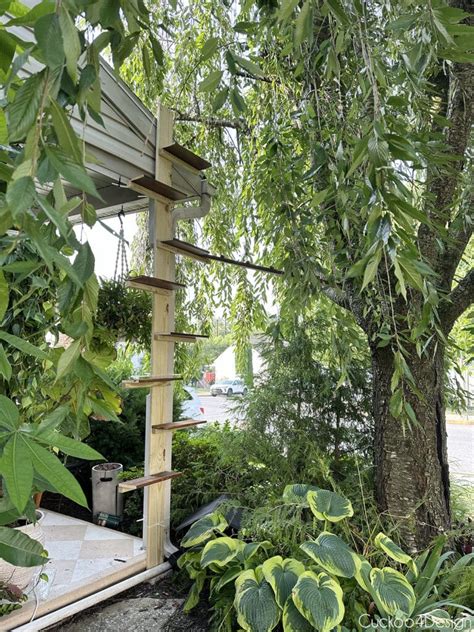 Diy Outdoor Cat Ladder Or Stairs To Second Floor Window Cuckoo4design