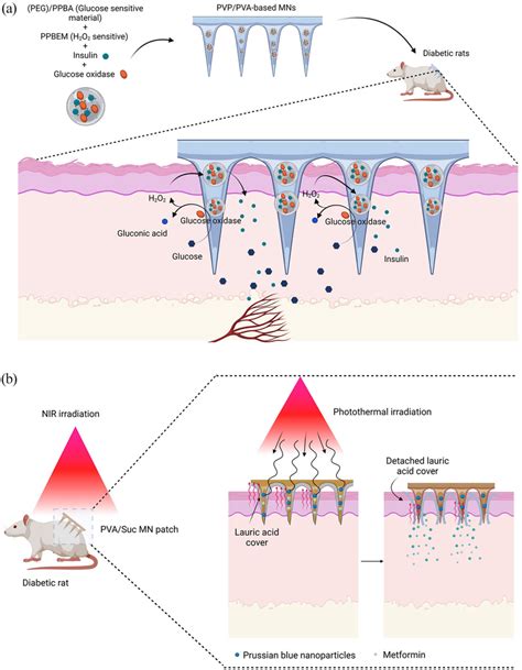 A Application Of Pvp Pva Based Mn Containing Polymeric Vesicles Download Scientific Diagram