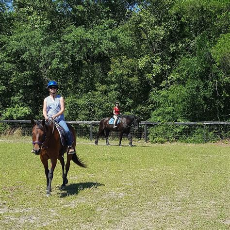 Joyful Noise Riding Academy Llc Hartsville Sc Hours Address