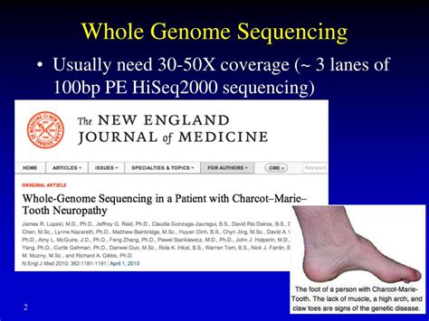 Ppt Genome And Exome Sequencing Read Mapping Powerpoint Presentation Id 3010691