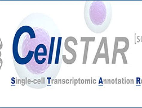 Goexpress Visualize Rna Seq And Microarray Data Using Gene Ontology