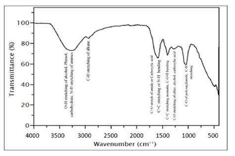 FTIR Analysis For The Detection Of Functional Groups Reprinted From 91 Download Scientific