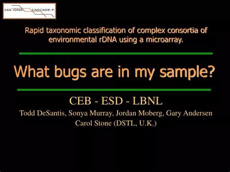Ppt Rapid Taxonomic Classification Of Complex Consortia Of