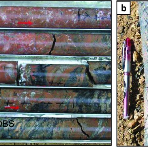 Borehole Core Samples Of Mineralized Albitite From Rohil Central Block