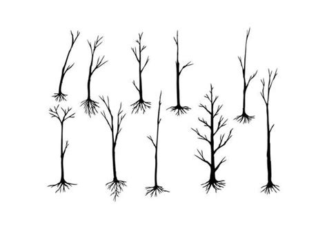 Tree Branch Silhouette Vector Art Icons And Graphics For Free Download