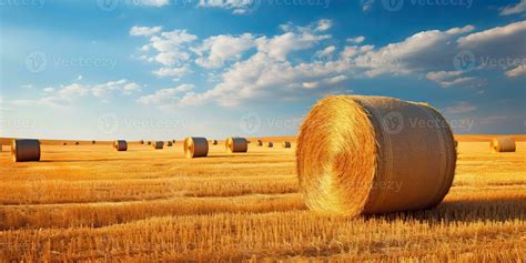 AI Generated. AI Generative. Autumn countryside harvest farming round ...