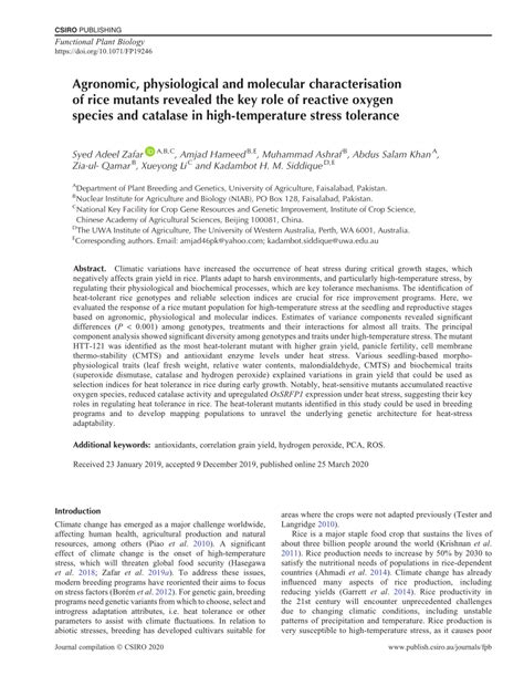 Pdf Agronomic Physiological And Molecular Characterisation Of Rice