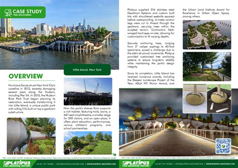 Tree Anchoring With Anchors Platipus Inc