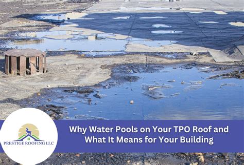 Ponding Water On Tpo Roofs Causes And Solutions