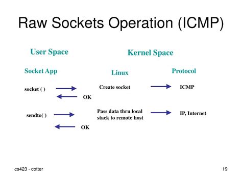PPT Raw Sockets Other PowerPoint Presentation Free Download ID 4569929