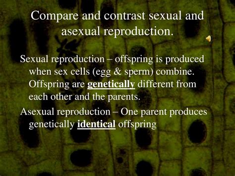 Cell Division Meiosis Ppt Download