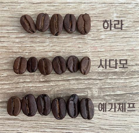 07화 에티오피아 커피의 모든 것 에티오피아 커피원두 종류