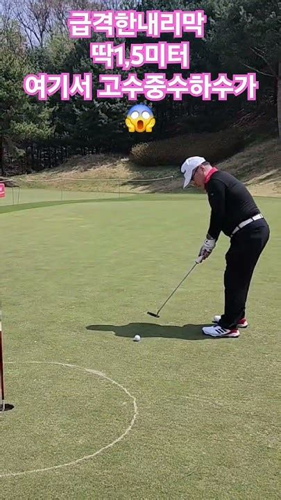 딱여기쥬😱대박👍ㅎㄷㄷ 골프레슨 아이언레슨 필드레슨 골프 골프존 퍼터 퍼팅 퍼터레슨 퍼팅레슨 비거리레슨 드로우샷 페이드샷 드라이버