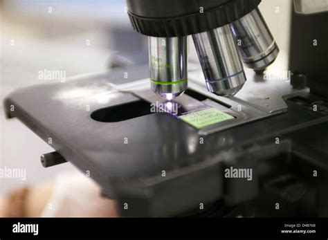 Close Up Of Slide Under Microscope Stock Photo Alamy