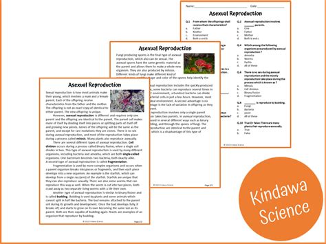 Asexual Reproduction Worksheet Answers Asexual And Sexual Reproduction