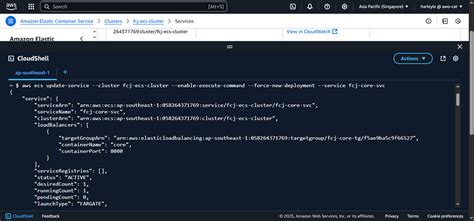 enable and verify ecs exec functionality infrastructure as code