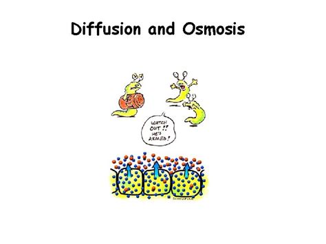 Diffusion And Osmosis Outline Learn The Concepts Of