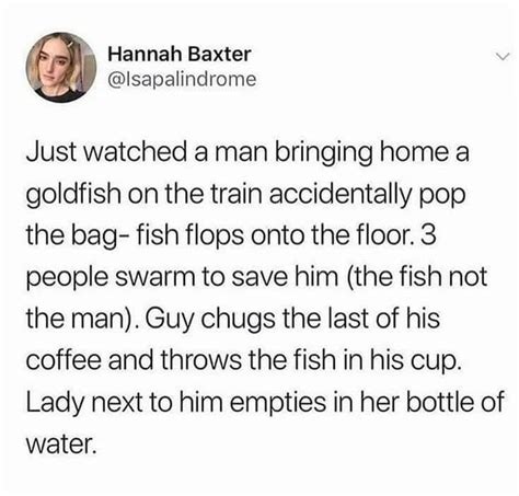 Introvert Nerd On Tumblr