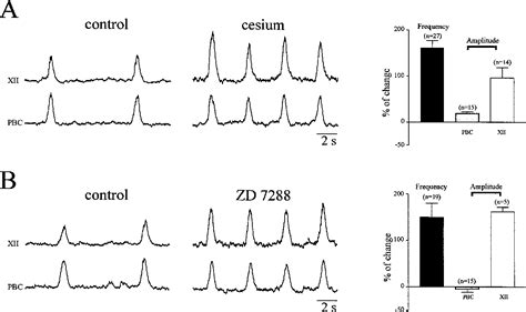 Figure 5 From The Role Of The Hyperpolarization Activated Current In Modulating Rhythmic