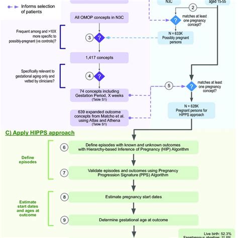 Hipps Algorithm Workflow Download Scientific Diagram