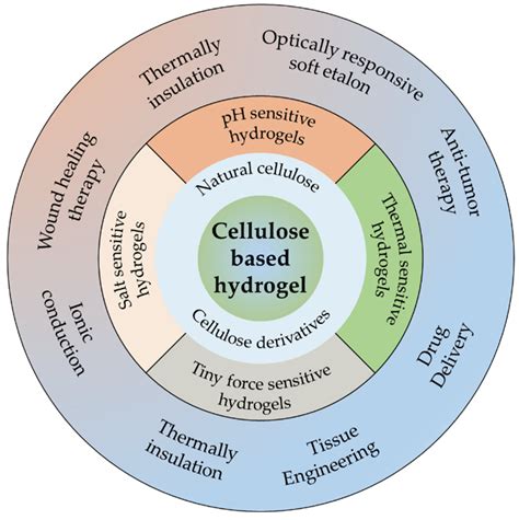 Gels Free Full Text Advances In Cellulose Based Hydrogels For Biomedical Engineering A