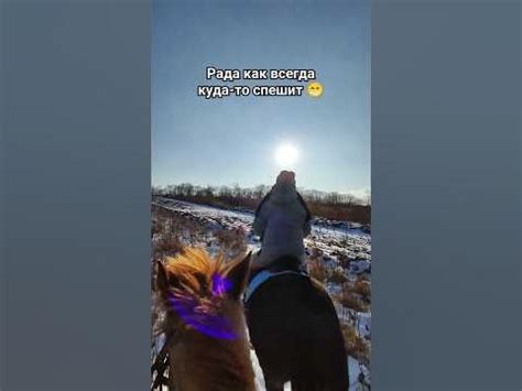 Лошадка мохноногая торопится бежит 🐎 #лошади #приморье #находка #кони # ...