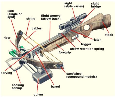 7 Best Crossbow Top Rated Crossbow With Buying Guide
