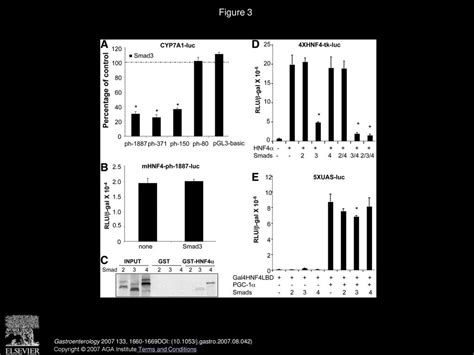 A Novel Role Of Transforming Growth Factor β1 In Transcriptional