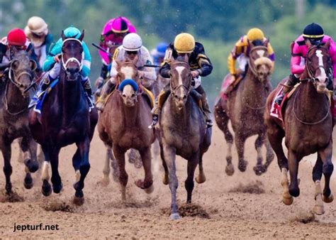 Challenge Turf VIP Jepturf