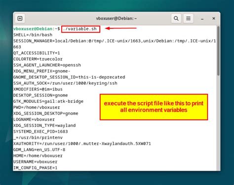 How To Print Env Variable Linux Best Methods