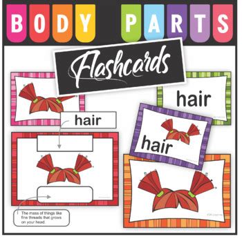 Body Parts Word Wall Cards Flashcards Word Cards By KM Classroom