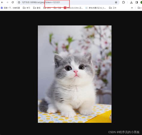 Nginx做静态文件服务器,如何进行权限验证呢?nginx配置前端页面进行权限判断 Csdn博客 Nginx做静态文件服务器,如何进行权限验证呢?nginx配置前端页面进行权限判断 Csdn博客