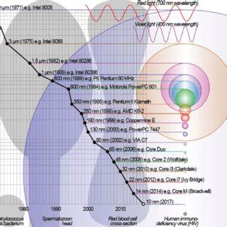 The Microprocessor Semiconductor Cell Analogy Download Scientific Diagram