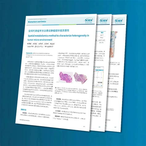 高深度空间代谢组学助力肿瘤微环境研究 仪器网