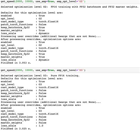 amp opt level o0 o2 o3 results different after calling o1 in the same