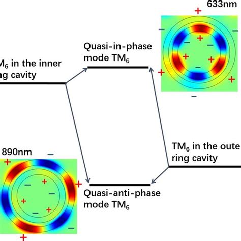 The Diagram Of The Mode Coupling Between The Tm 6 Of The Inner And