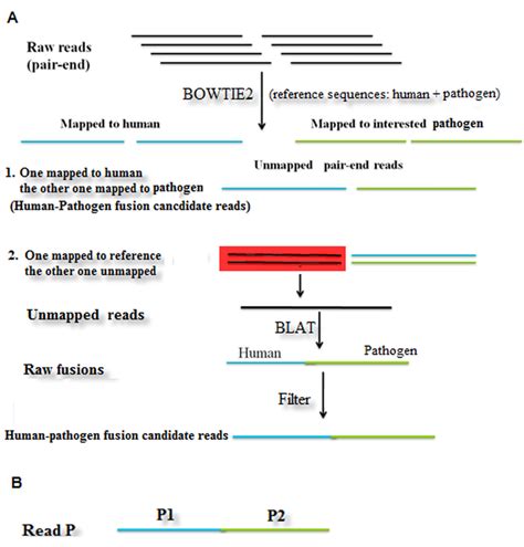 a pathogen detection pipeline b fusion reads with one part p1